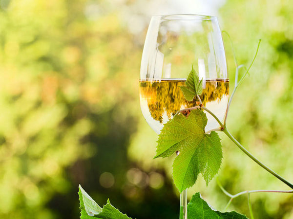 Introducing Terrific Timorasso - By Eugenio Ciccarelli – Vinarius